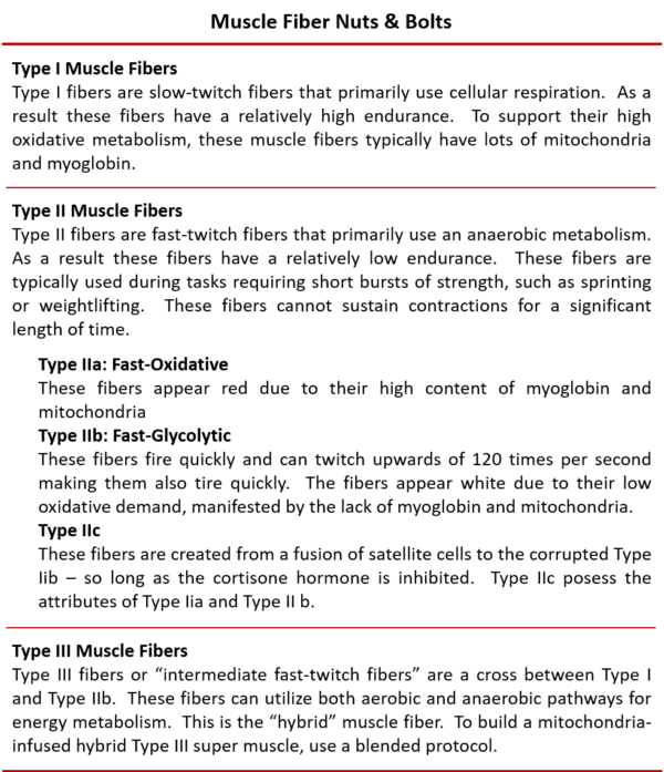 What is Functional Strength? | Functional Strength